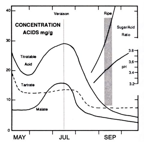 WINE GRAPE ACIDITY, pH, & POTASSIUM | Lodi Growers