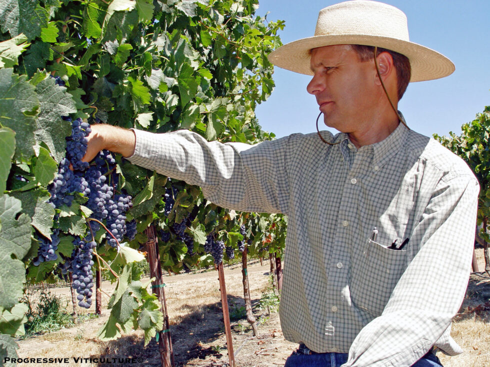 SYSTEMATIC VINEYARD MONITORING FOR EFFECTIVE VINEYARD MANAGEMENT | Lodi ...