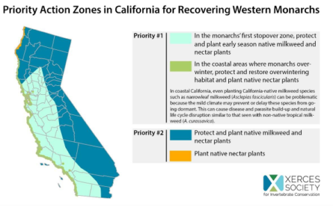 2022 XERCES MONARCH & POLLINATOR KITS AVAILABLE | Lodi Growers