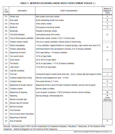 SYSTEMATIC VINEYARD MONITORING FOR EFFECTIVE VINEYARD MANAGEMENT | Lodi ...