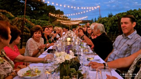 INTERNATIONAL LODI RULES MASTERCLASS | Lodi Growers