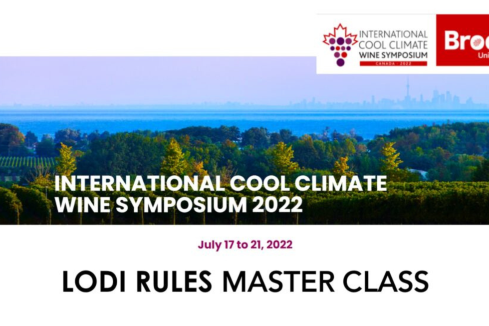 Coffee Shop Blog | Lodi Growers