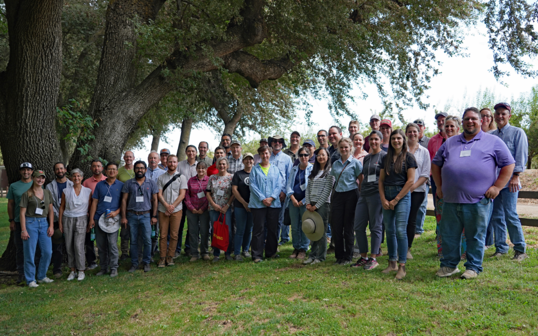 NGRA’S INAUGURAL FELLOW: ABBY HAMMERMEISTER | Lodi Growers