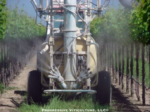 FOLIAR FERTILIZATION IN VINEYARD MINERAL NUTRIENT MANAGEMENT | Lodi Growers
